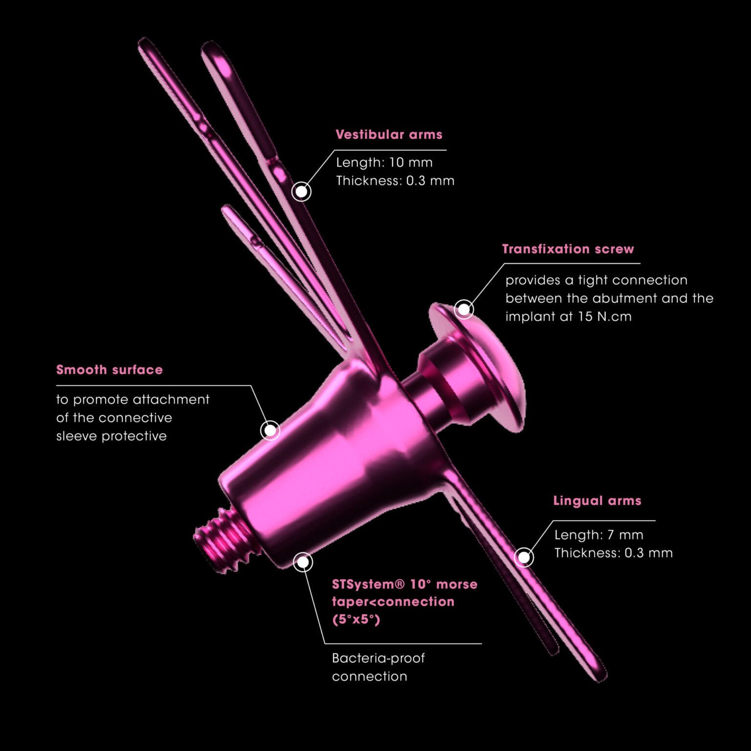 SpiderGraft - Biotech Dental